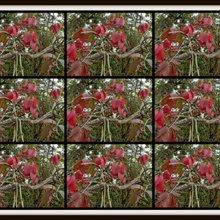 fotoleaxx.com - Fotowettbewerbe im einzigartigen Spielmodus